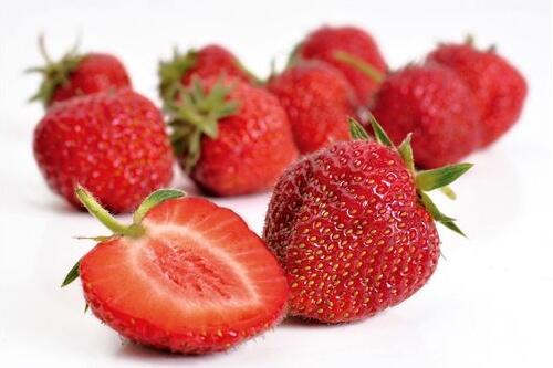 Ovocné stromky a keře | Zahradnictví FLOS