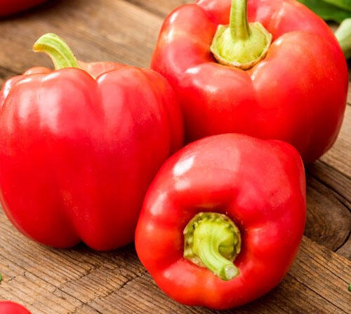 Paprika 'Priscila' F1 - Capsicum annuum 'Priscila' F1 | Zahradnictví FLOS