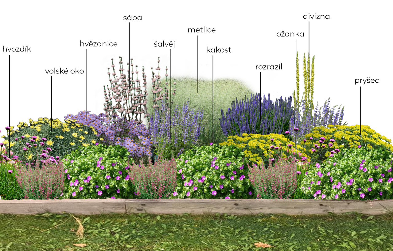 Trvalkový záhon na slunce | Všechny články