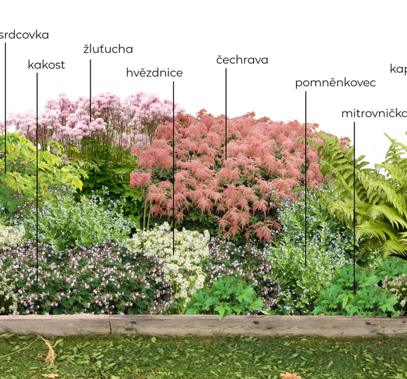 Trvalkové záhony | Zahradnictví FLOS